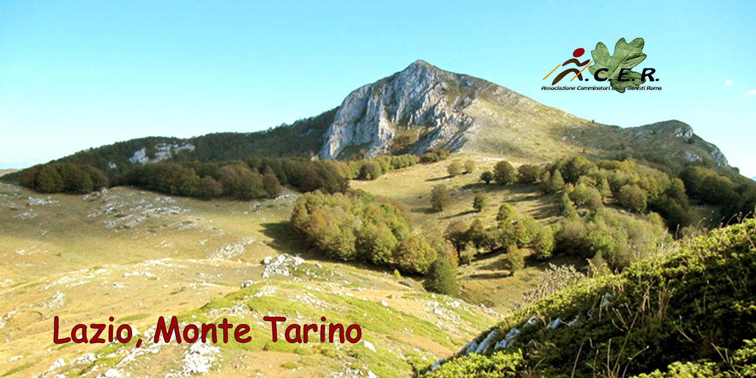 6-AGO-2023 MONTE TARINO - A.C.E.R.